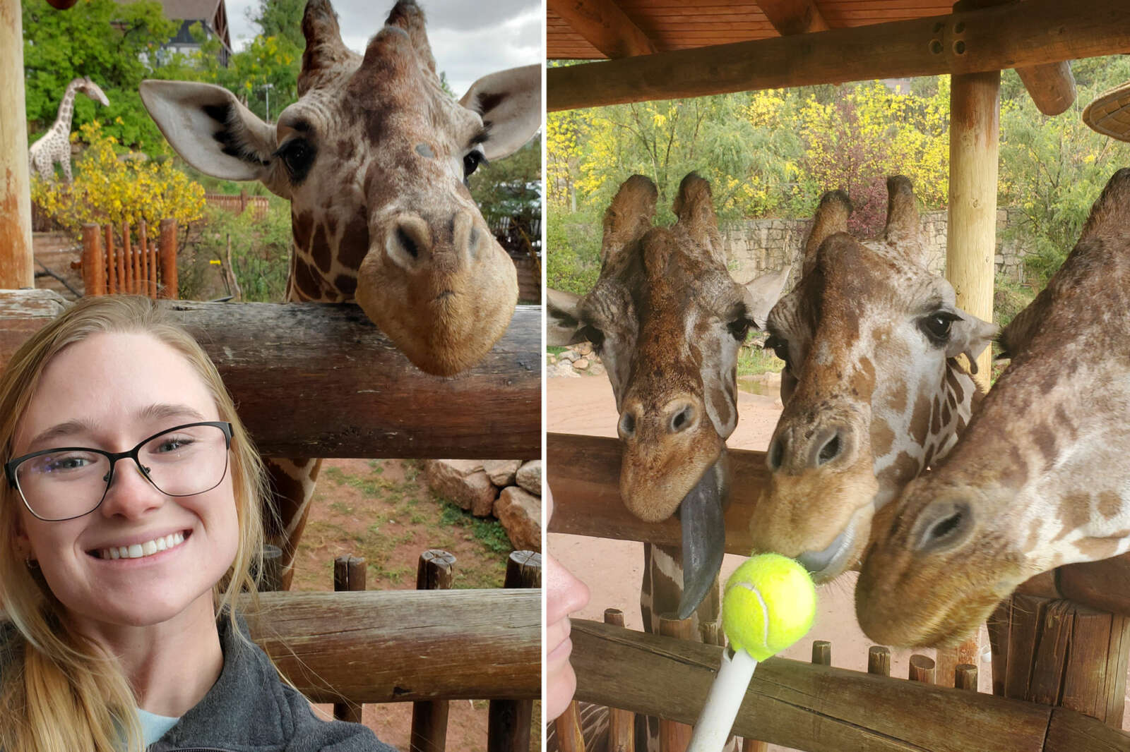 Ellie-Gressman-Giraffe-Workshop-Hero - Safari West